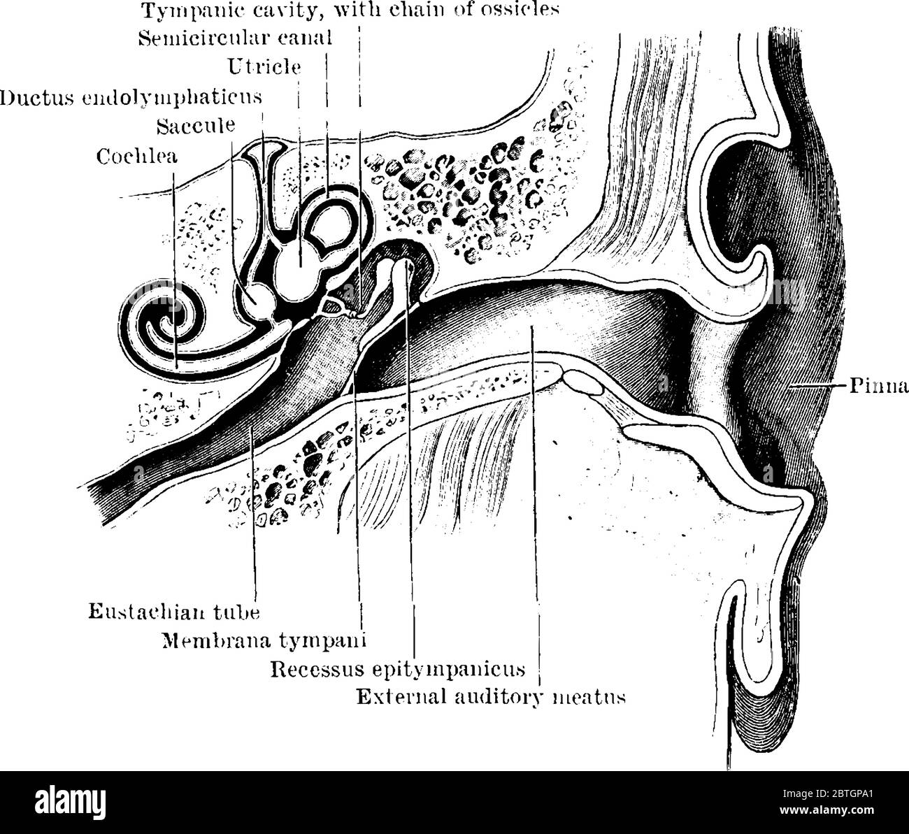 Sistemi esterni Immagini Vettoriali Stock - Alamy