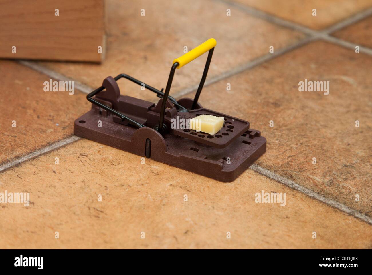 Trappola per uccidere immagini e fotografie stock ad alta risoluzione ...