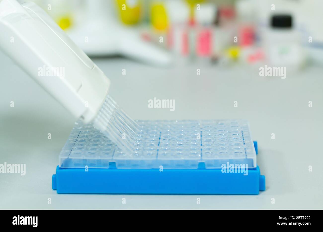 Piastra 96 pozzetti immagini e fotografie stock ad alta risoluzione - Alamy