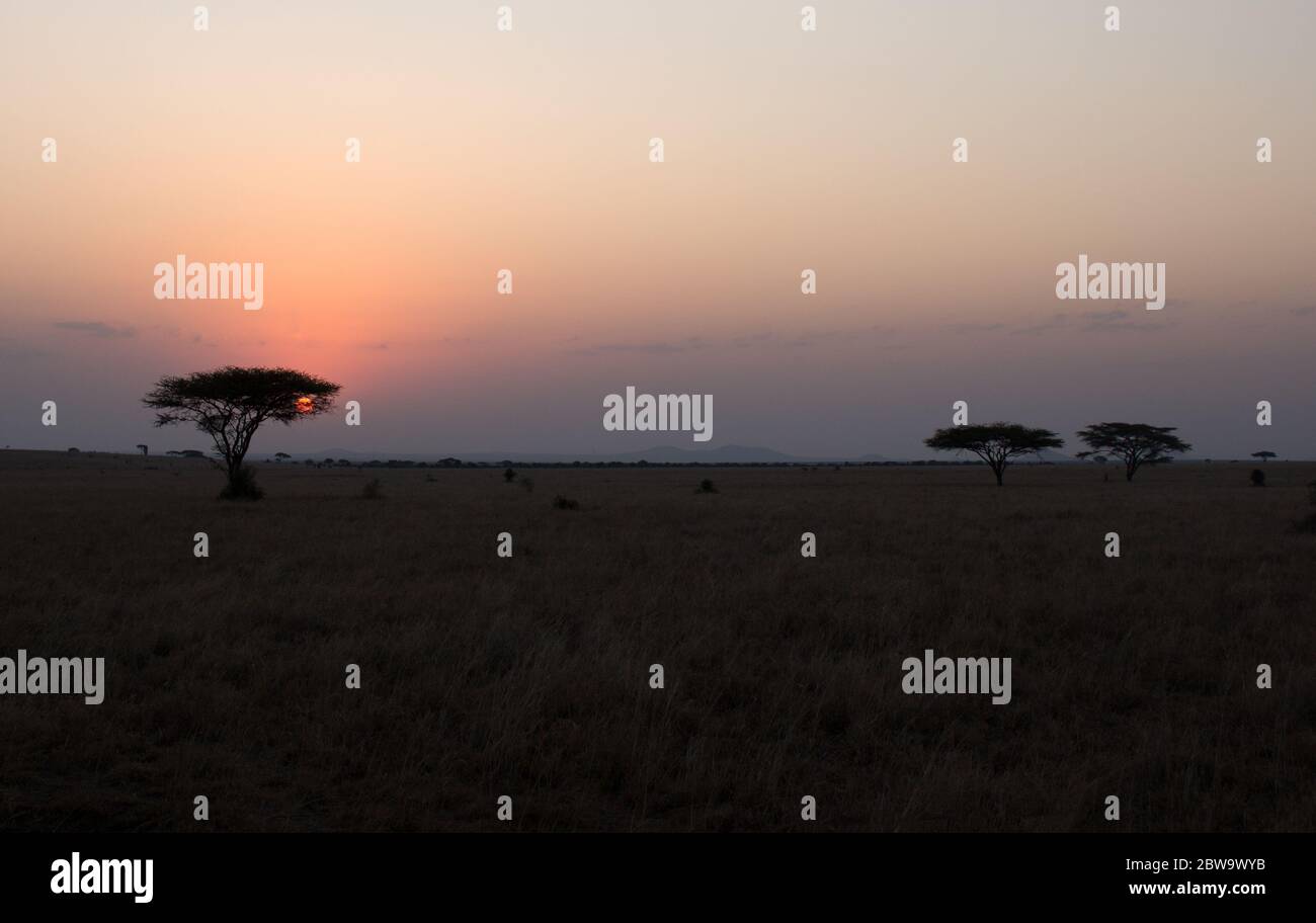 Sagoma Del Paesaggio Con Il Tramonto Immagini e Fotos Stock - Alamy