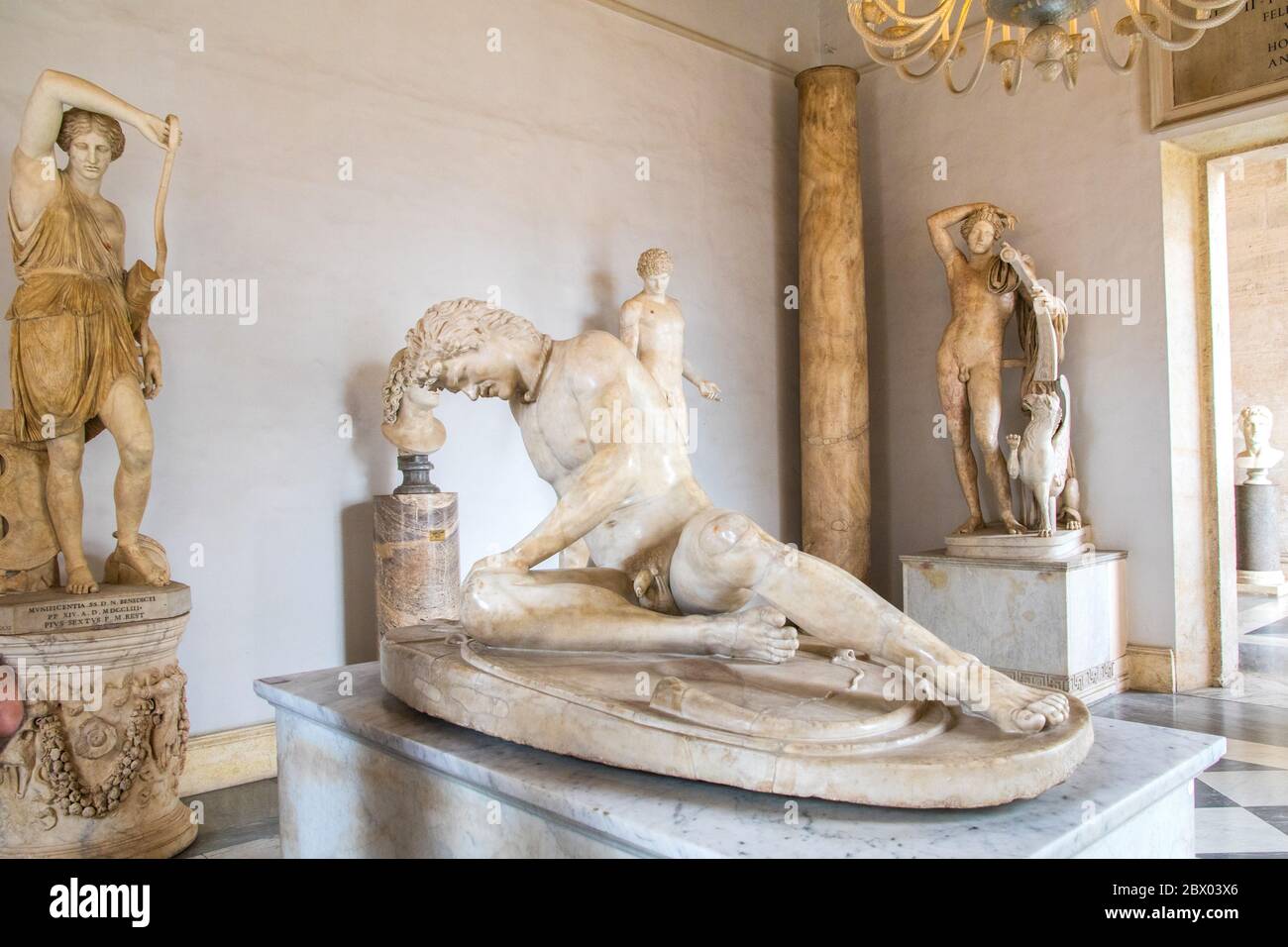 Galata morente immagini e fotografie stock ad alta risoluzione - Alamy