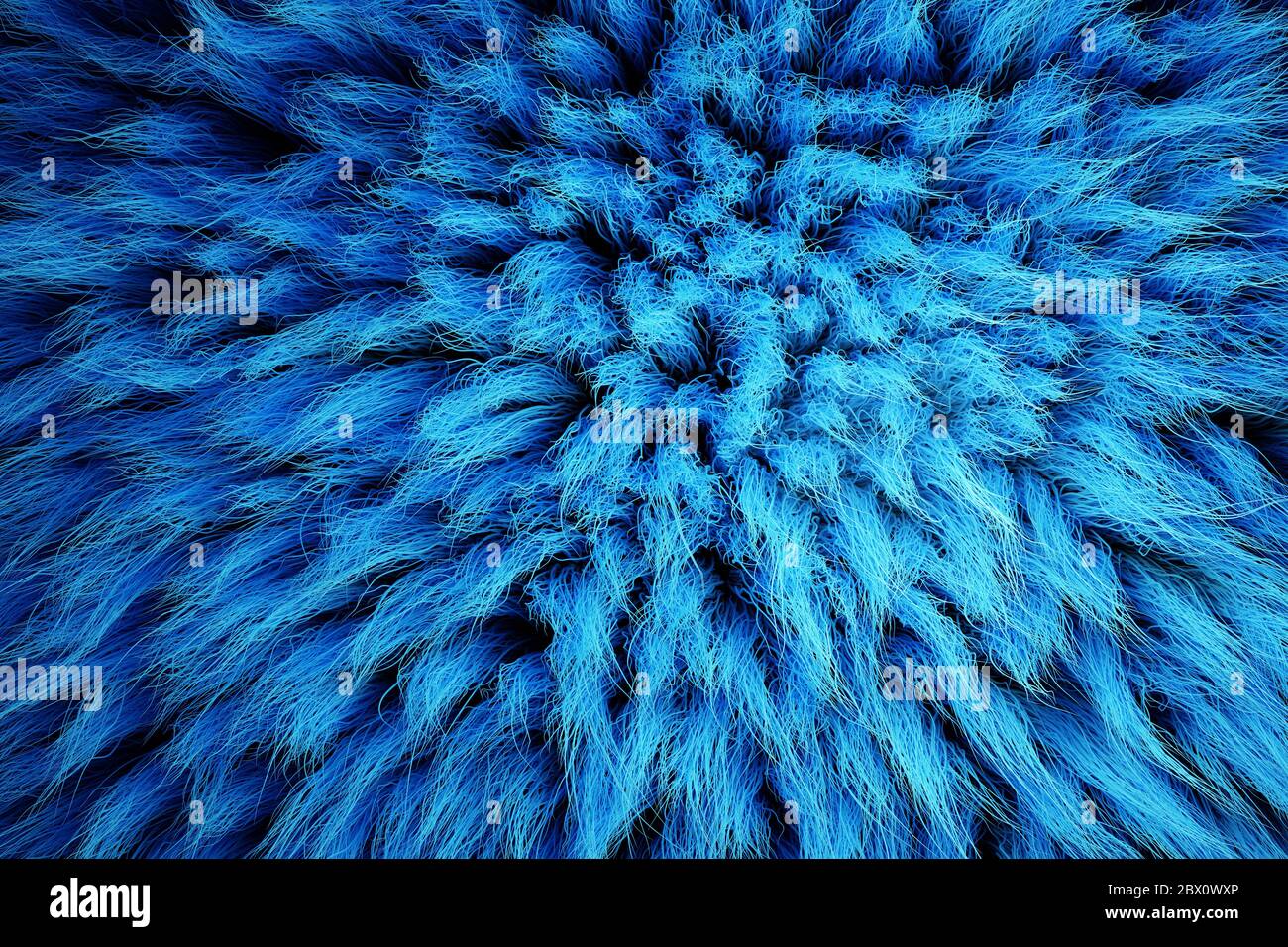 Blue carpet texture immagini e fotografie stock ad alta risoluzione - Alamy