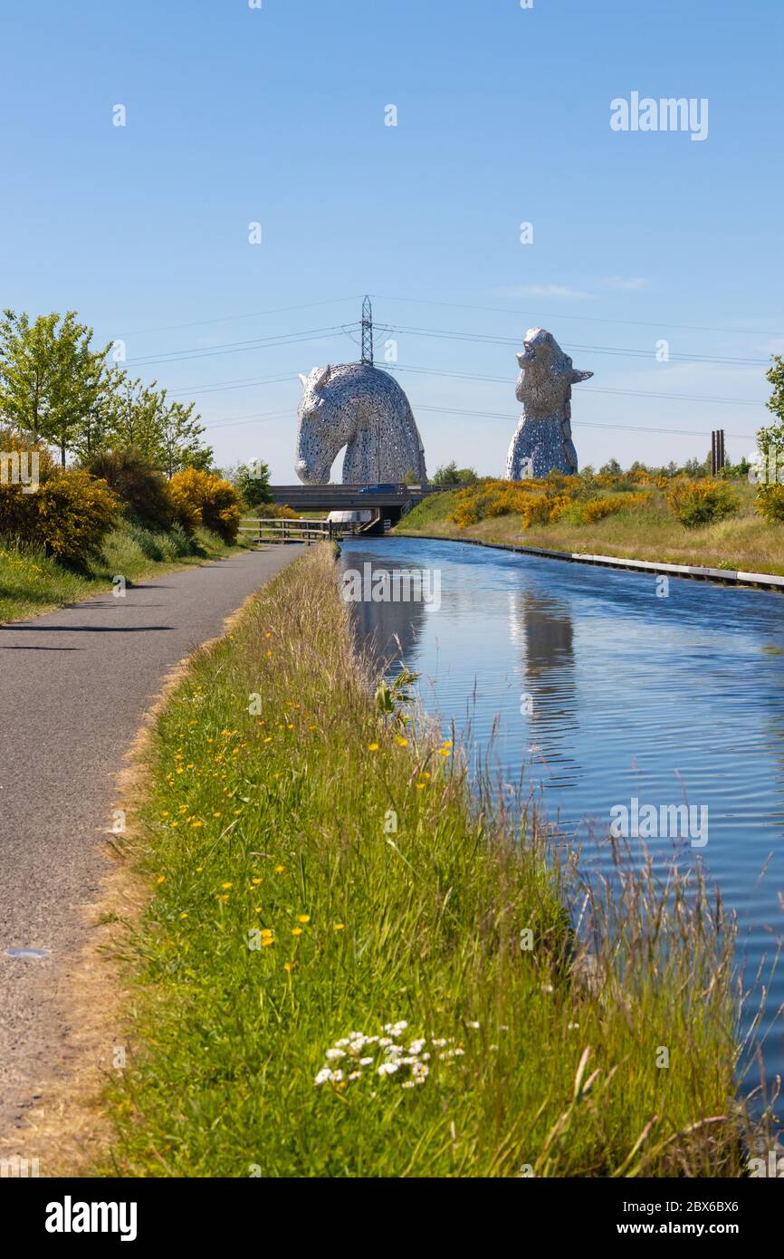 Enormi teste di cavallo immagini e fotografie stock ad alta risoluzione ...