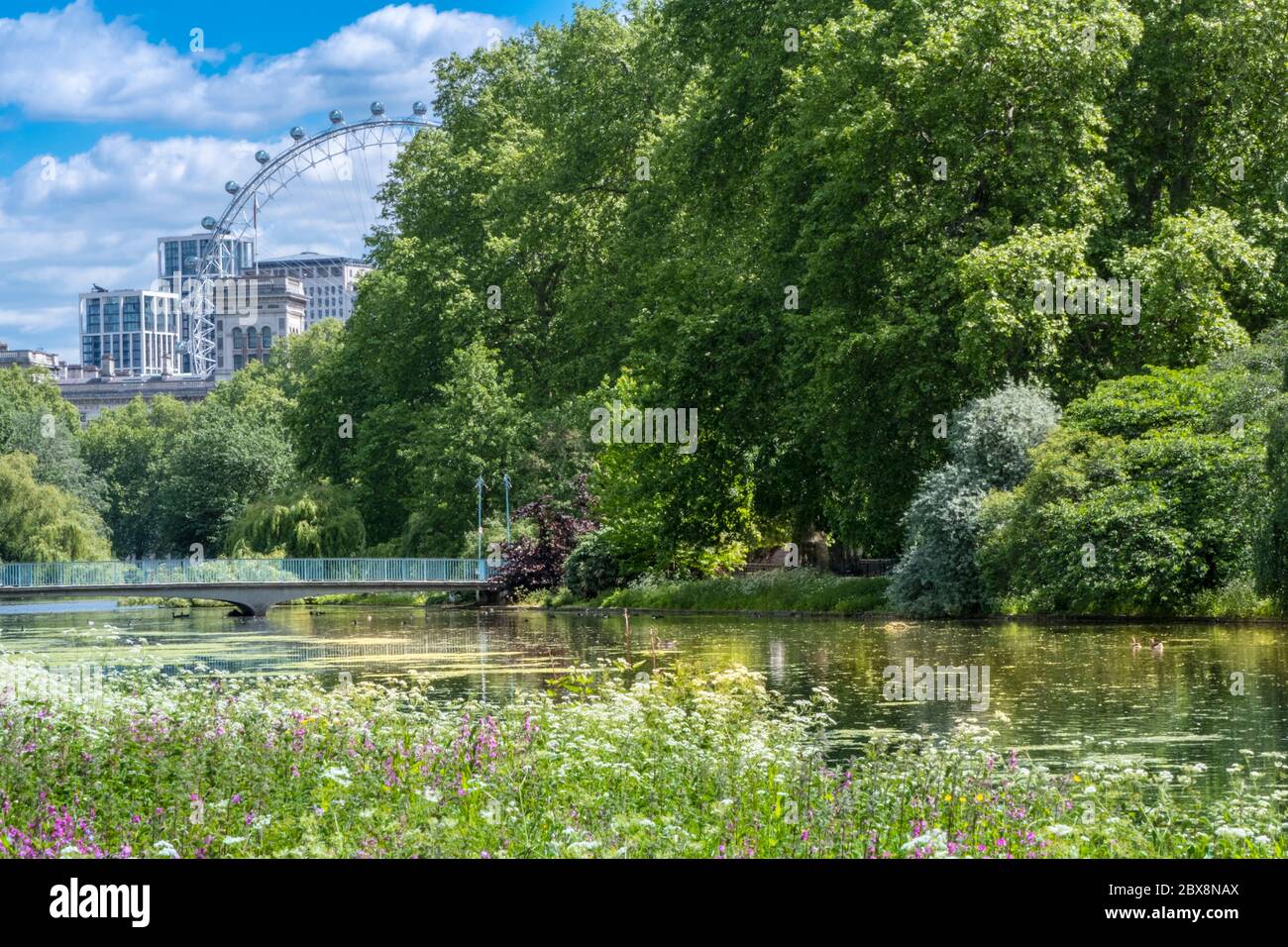 Parco Verde Di Londra Immagini e Fotos Stock - Alamy