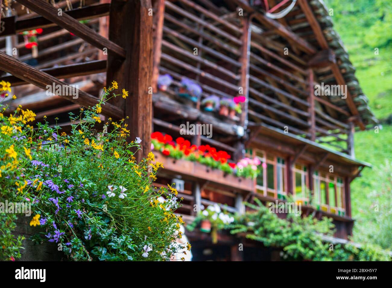 Case in stile Walser a Pedemonte, Alagna Valsesia, Piemonte, Italia ...