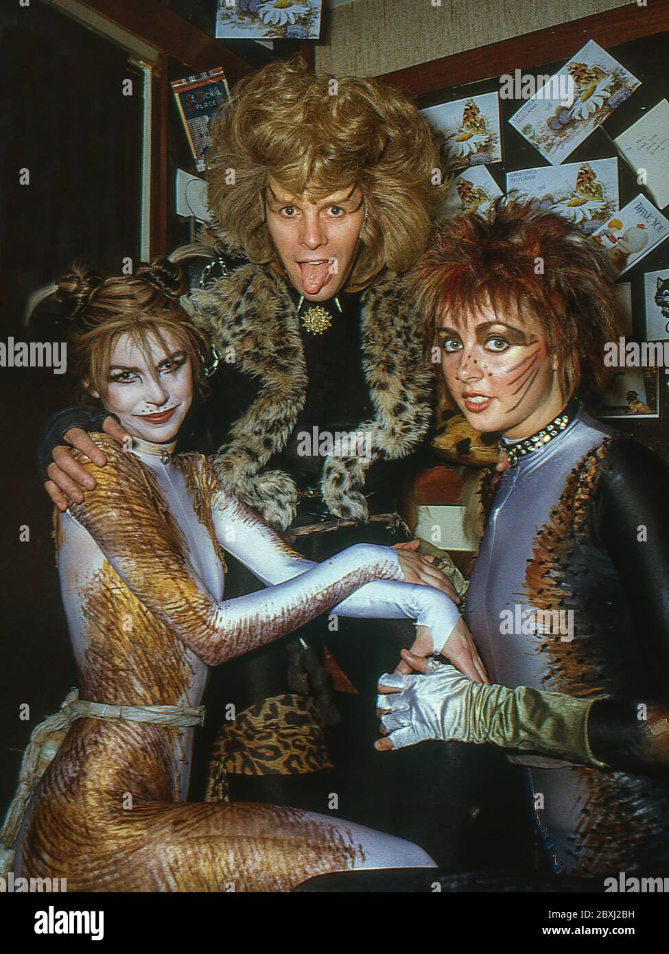 Rum tum tugger immagini e fotografie stock ad alta risoluzione - Alamy