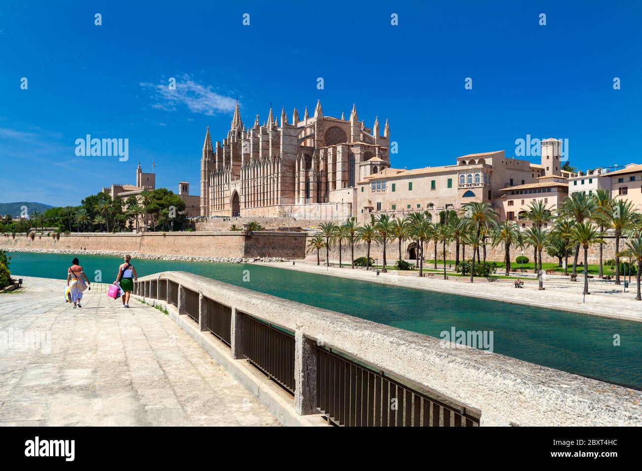 Mare di palma di maiorca immagini e fotografie stock ad alta ...