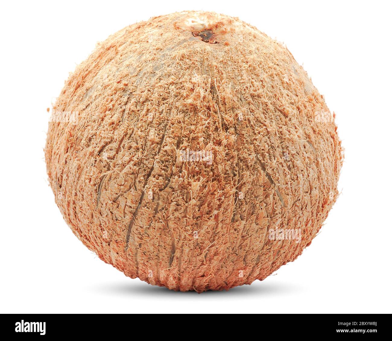 Sfondo di palme da cocco immagini e fotografie stock ad alta ...