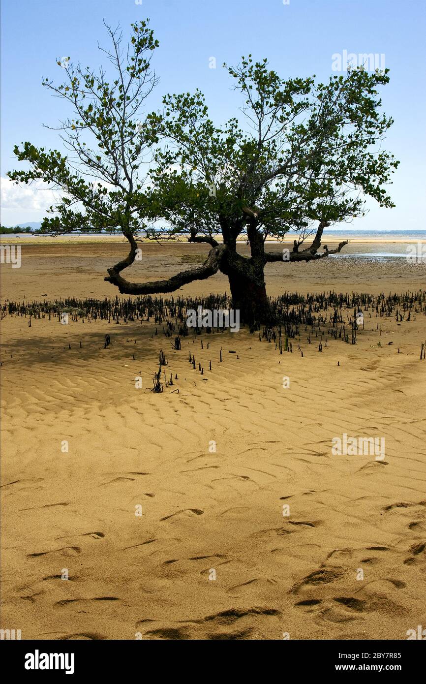 Riserva di lokobe immagini e fotografie stock ad alta risoluzione - Alamy