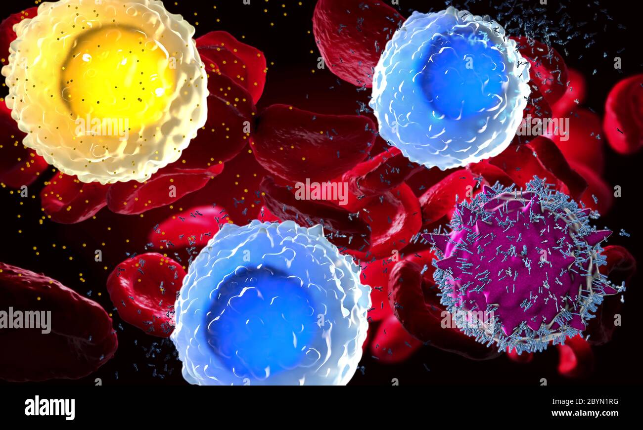 Globuli bianchi immagini e fotografie stock ad alta risoluzione - Alamy