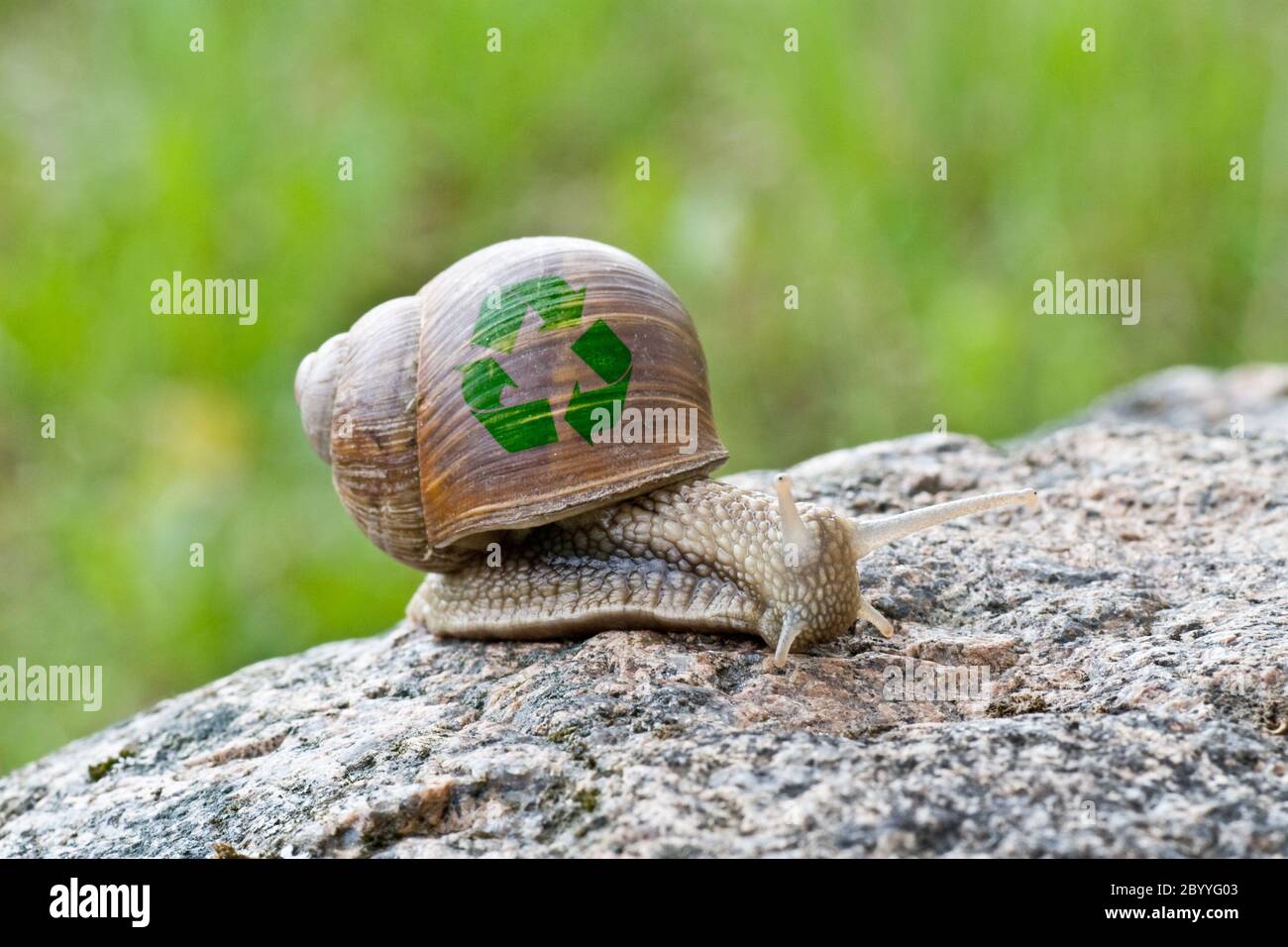 Simbolo di lumaca immagini e fotografie stock ad alta risoluzione - Alamy