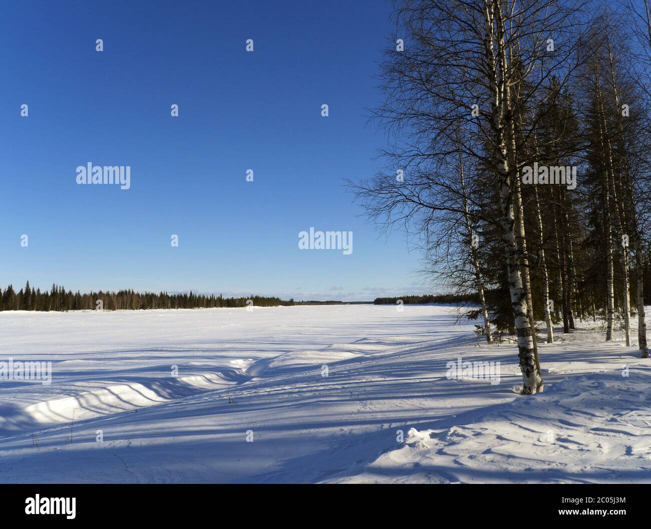 Fiume torne immagini e fotografie stock ad alta risoluzione - Alamy