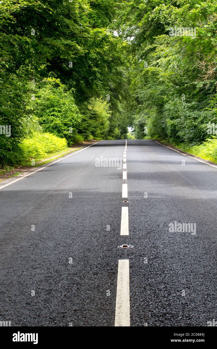 Borchie stradali immagini e fotografie stock ad alta risoluzione - Alamy