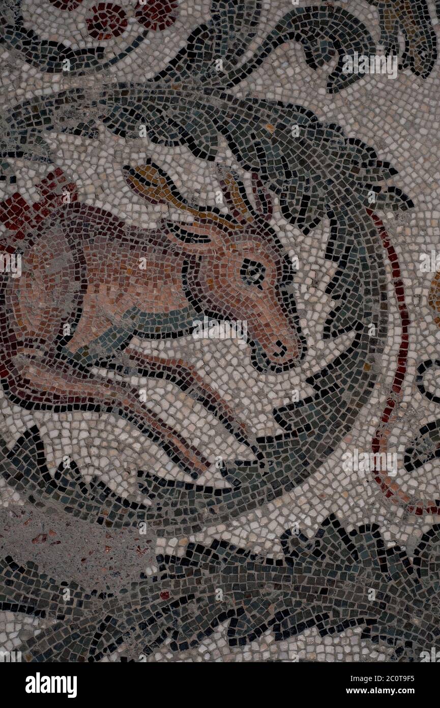 Casa di ricchi romani immagini e fotografie stock ad alta risoluzione ...