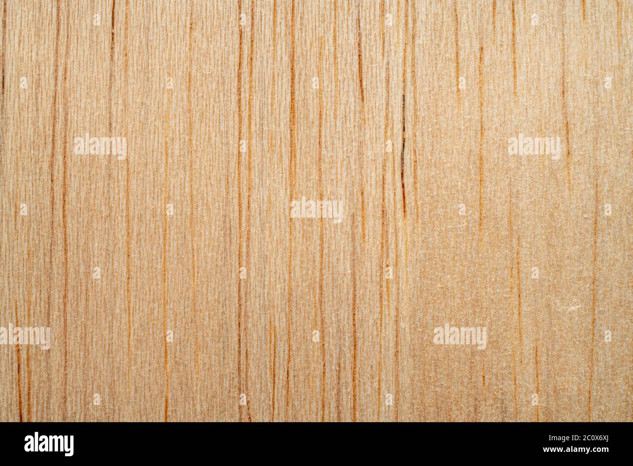 Albero di balsa immagini e fotografie stock ad alta risoluzione - Alamy
