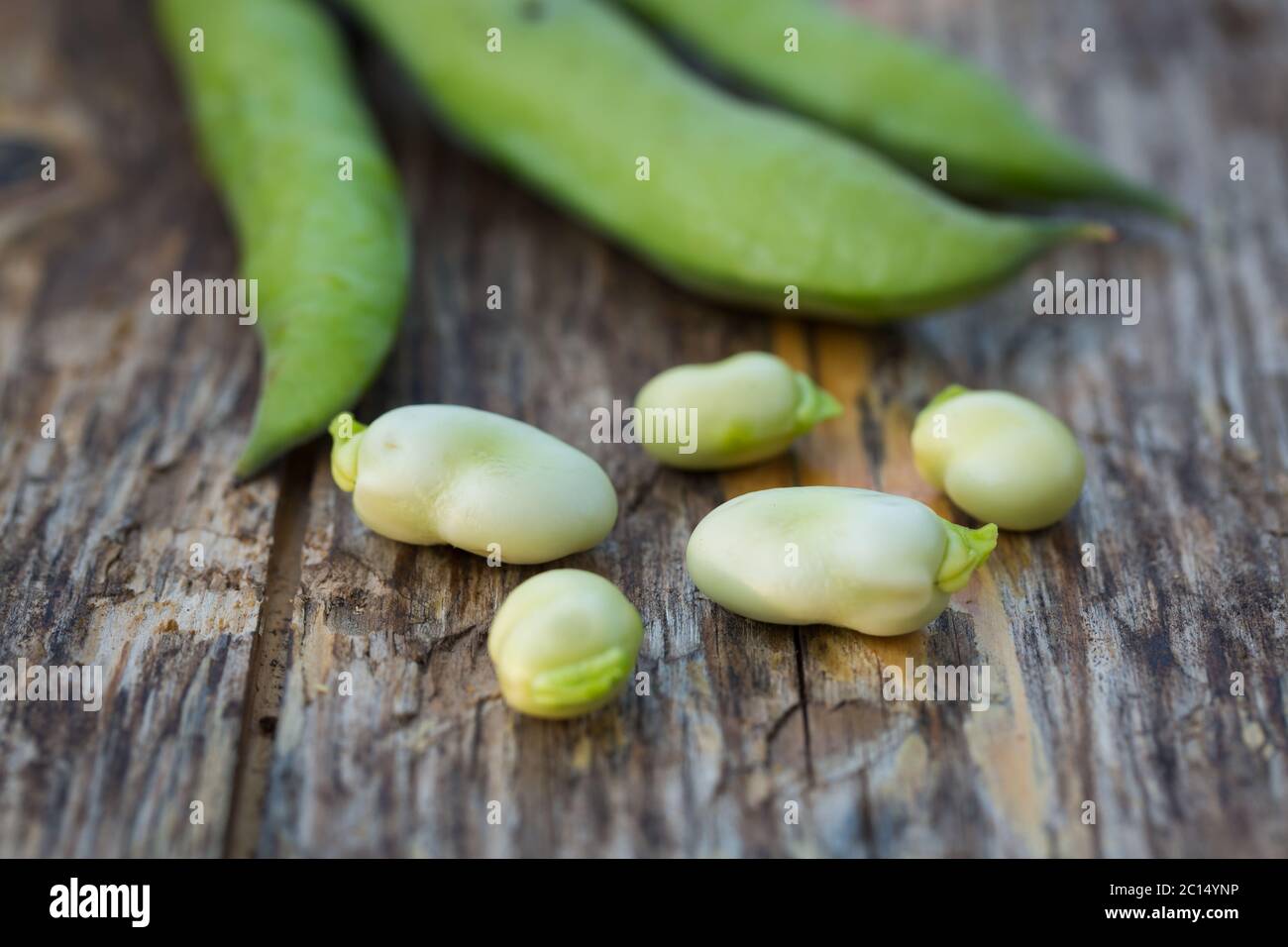 Fava bean immagini e fotografie stock ad alta risoluzione - Alamy