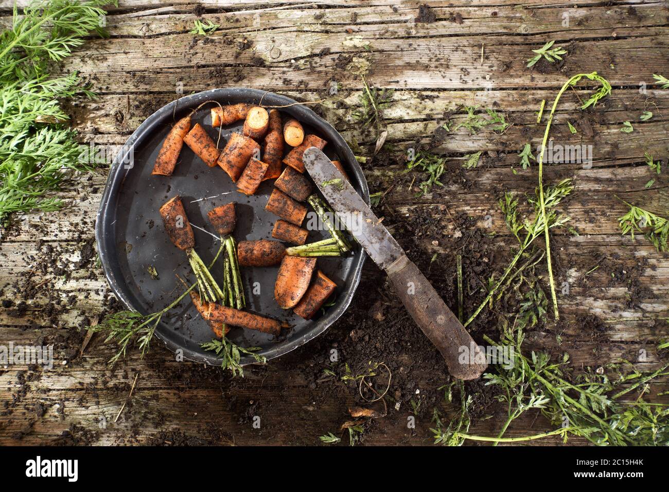 Carote pulite immagini e fotografie stock ad alta risoluzione - Alamy