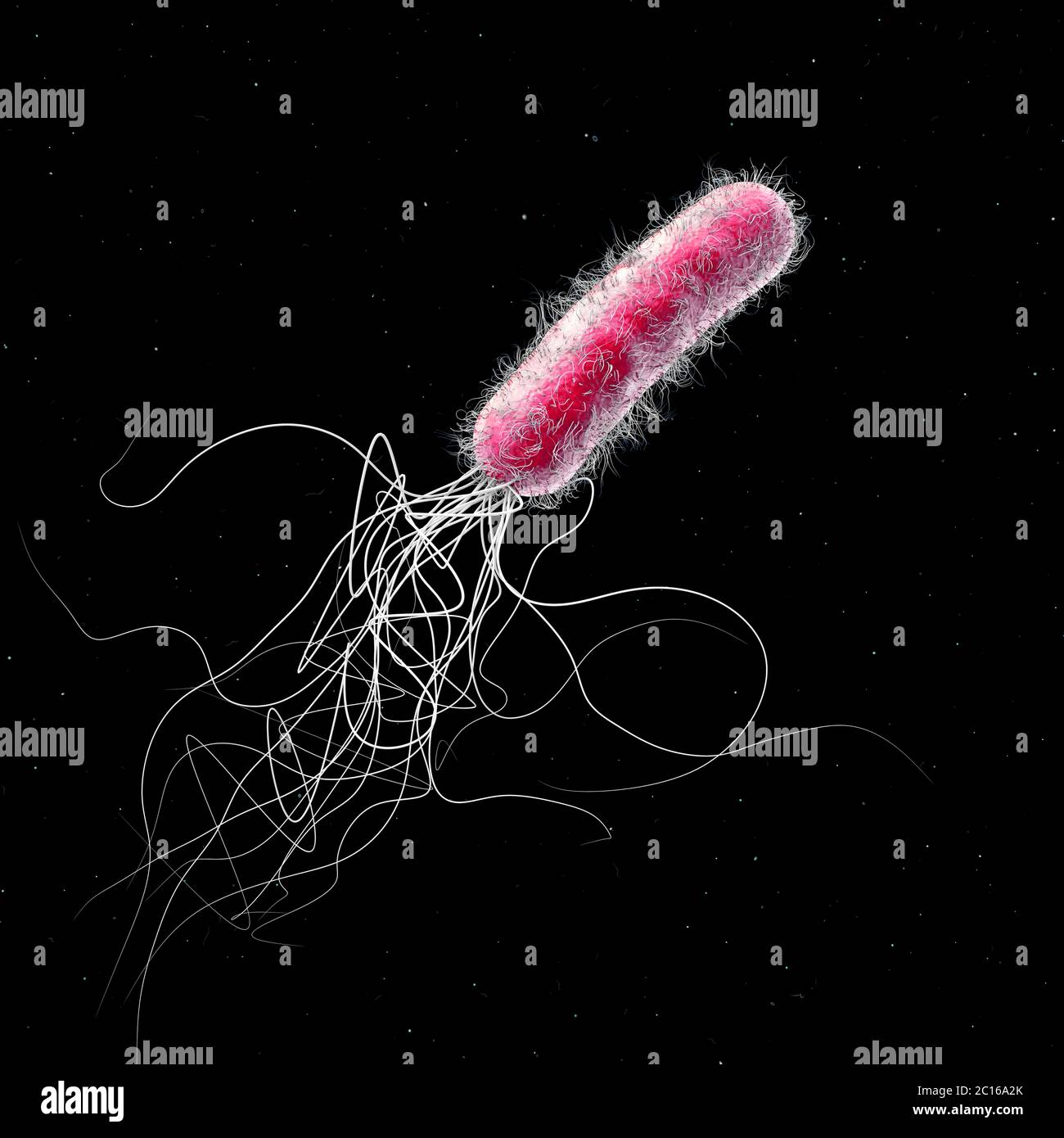 Batterio pseudomonas aeruginosa immagini e fotografie stock ad alta ...