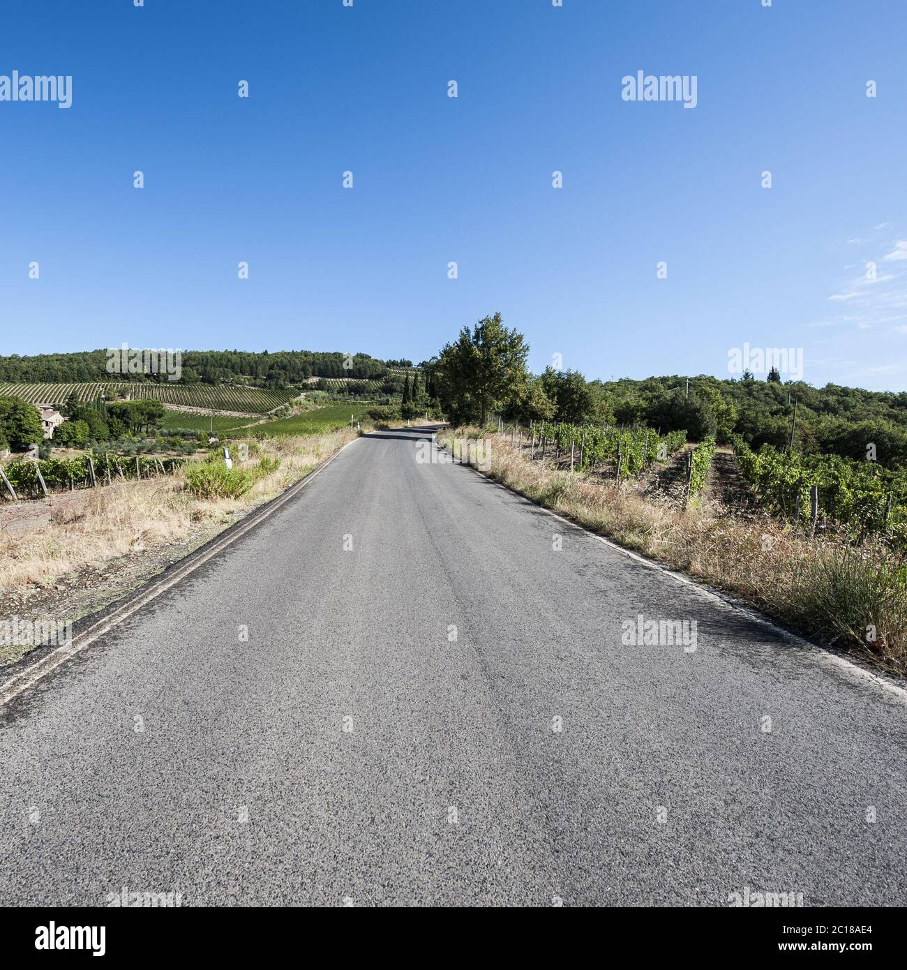 Vigneti del cartello stradale immagini e fotografie stock ad alta ...