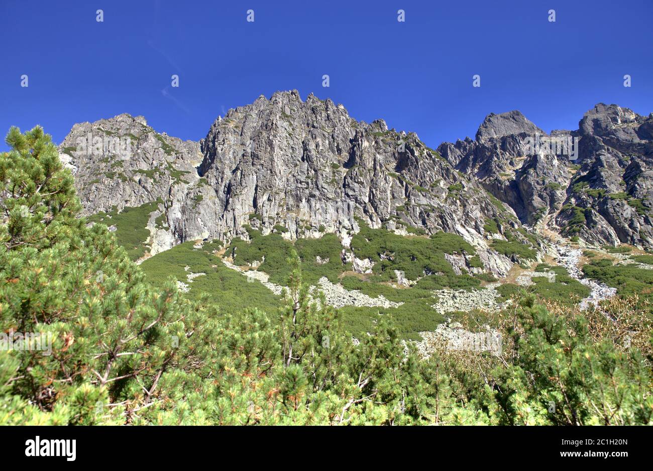 High tatra immagini e fotografie stock ad alta risoluzione - Alamy