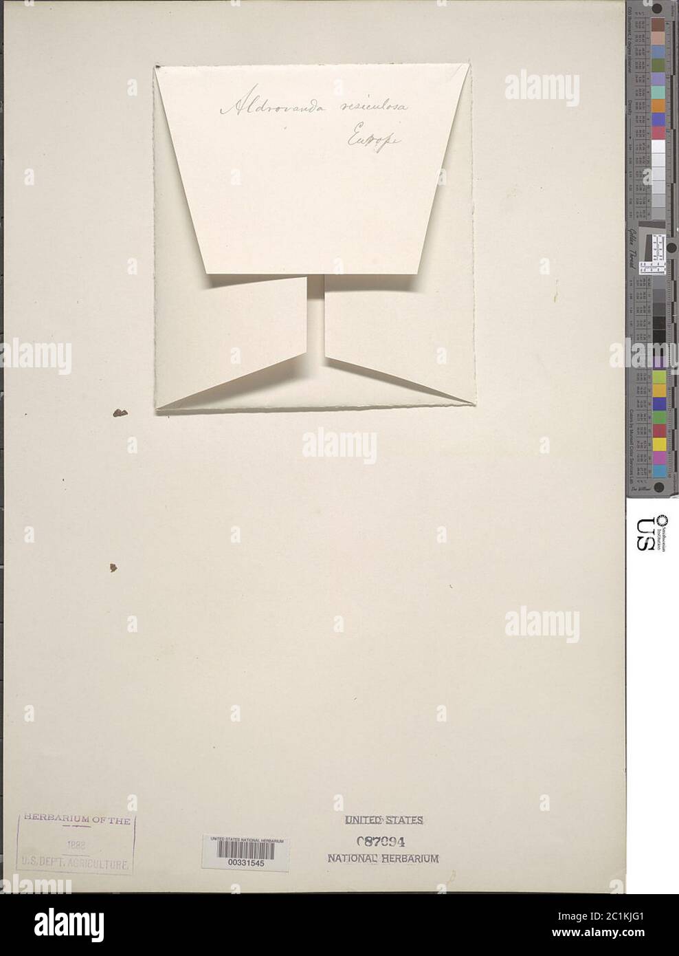 Vesiculosa immagini e fotografie stock ad alta risoluzione - Alamy