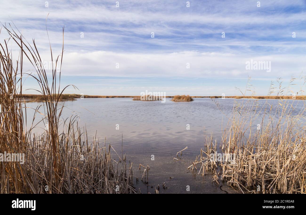 Clima steppico immagini e fotografie stock ad alta risoluzione - Alamy