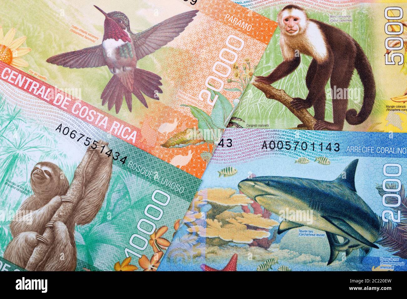 Sfondo costa rican immagini e fotografie stock ad alta risoluzione - Alamy