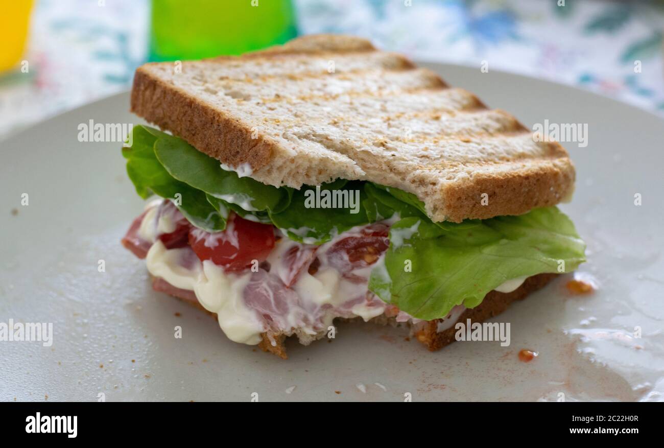 Toast pane tostato in un piatto farcito con una piccola lattuga ...