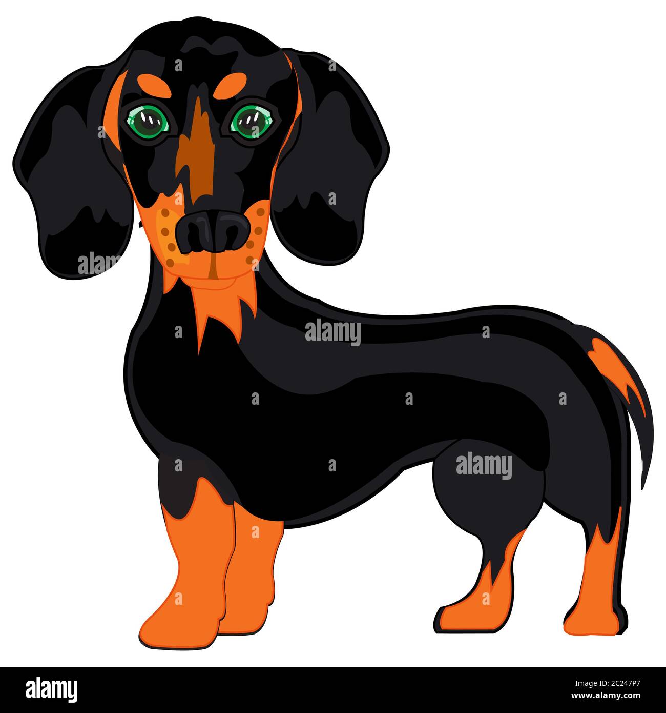 Cane bassotto disegno Immagini senza sfondo e Foto Stock ritagliate - Alamy