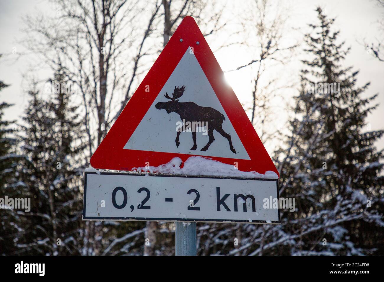 Segnale stradale avverte di attraversare le alci immagini e fotografie ...