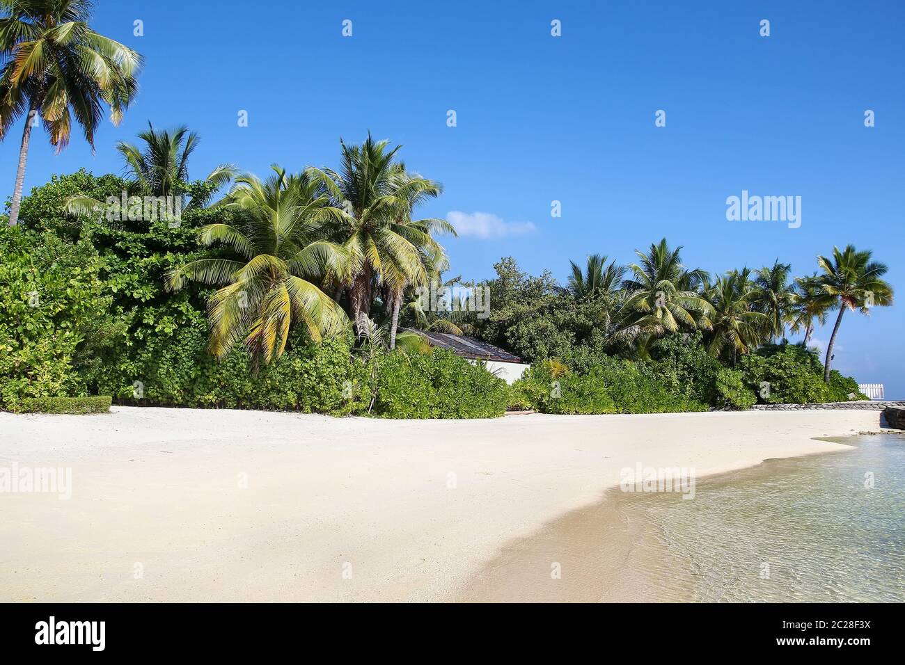 Spiaggia maldive immagini e fotografie stock ad alta risoluzione - Alamy