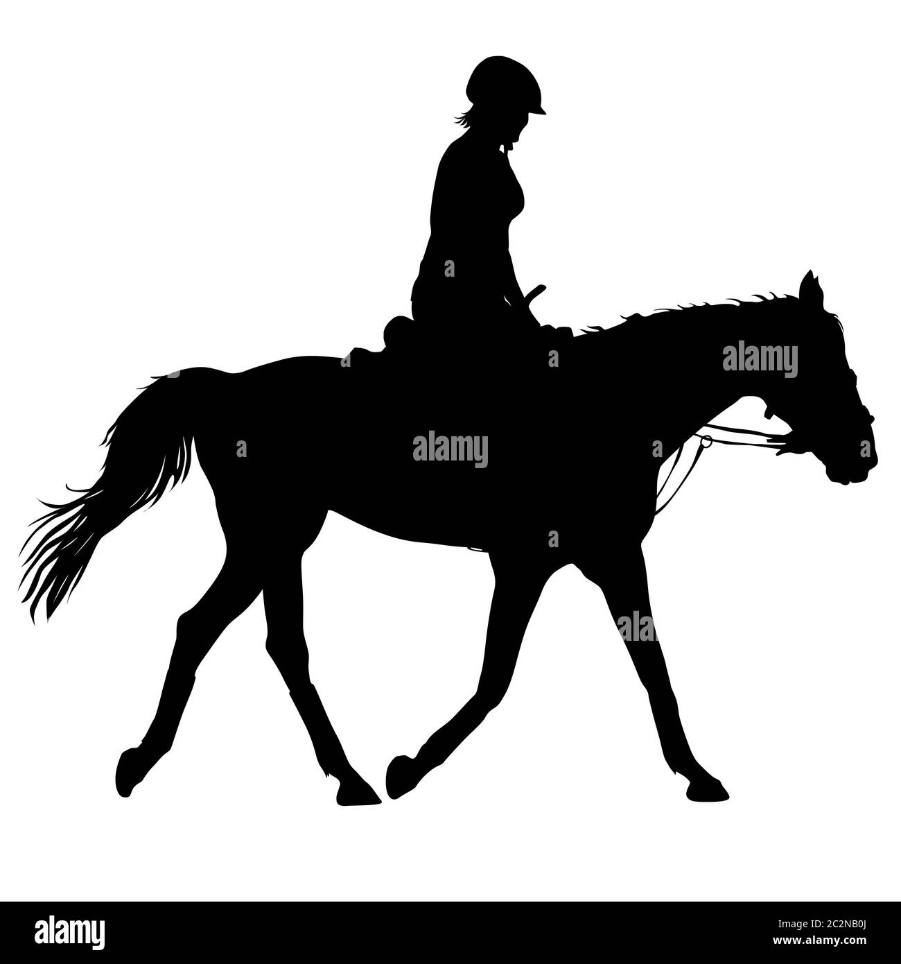 Sfondo con sagoma di cavallo Foto e Immagini Stock in Bianco e Nero ...