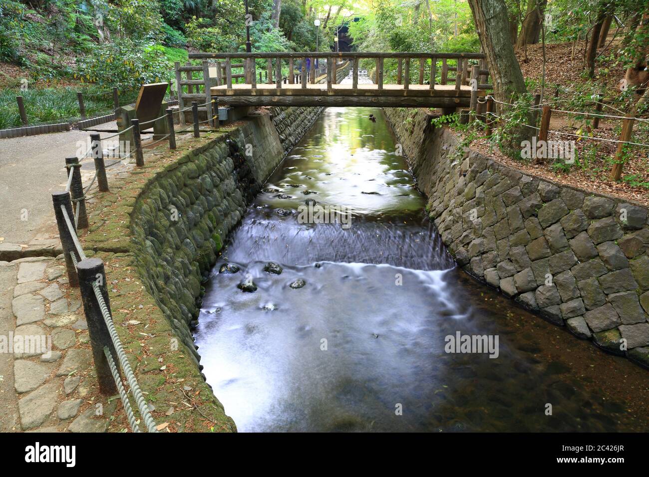 Parco del burrone di todoroki immagini e fotografie stock ad alta ...