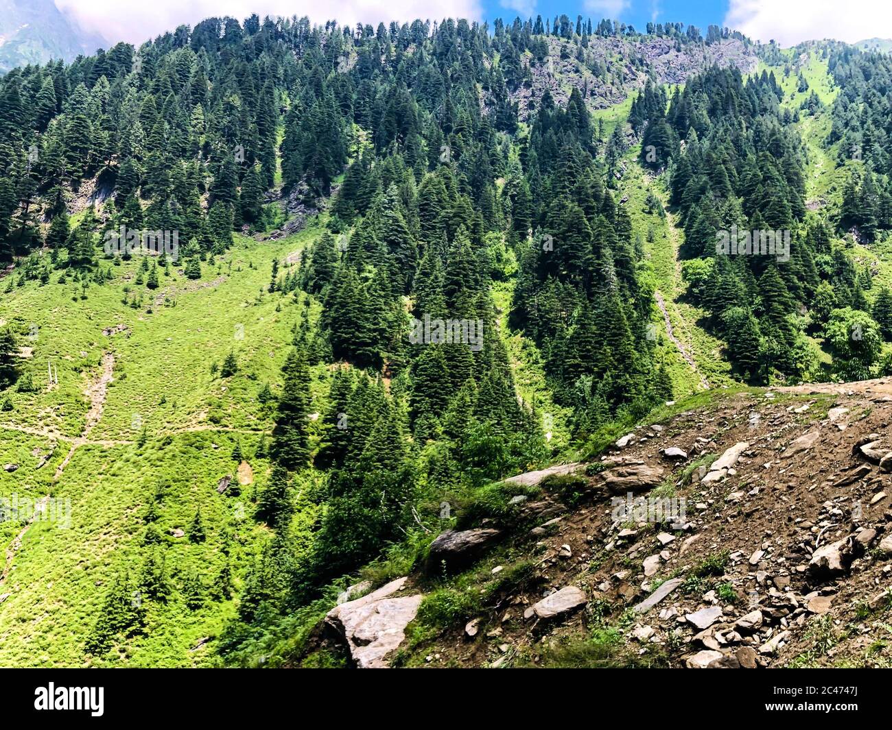 Giorno dell'indipendenza in pakistan immagini e fotografie stock ad ...