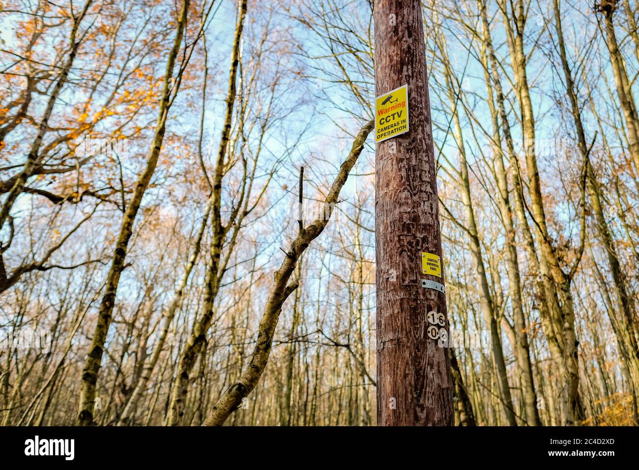 Cartello TVCC appena installato attaccato ad un palo di telegrafo di ...