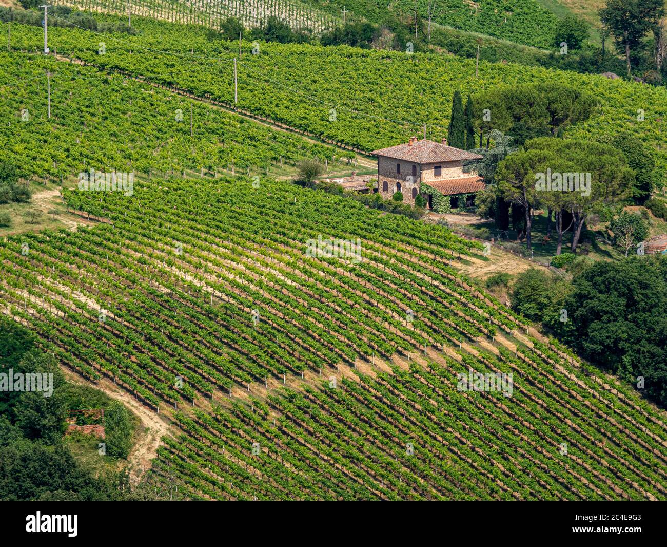 Colline del chianti immagini e fotografie stock ad alta risoluzione - Alamy
