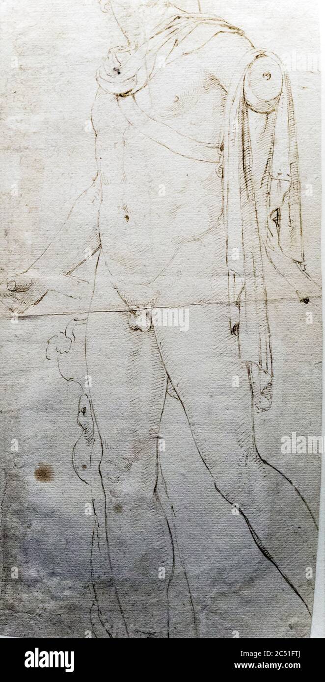 Disegno a penna raffaello immagini e fotografie stock ad alta ...