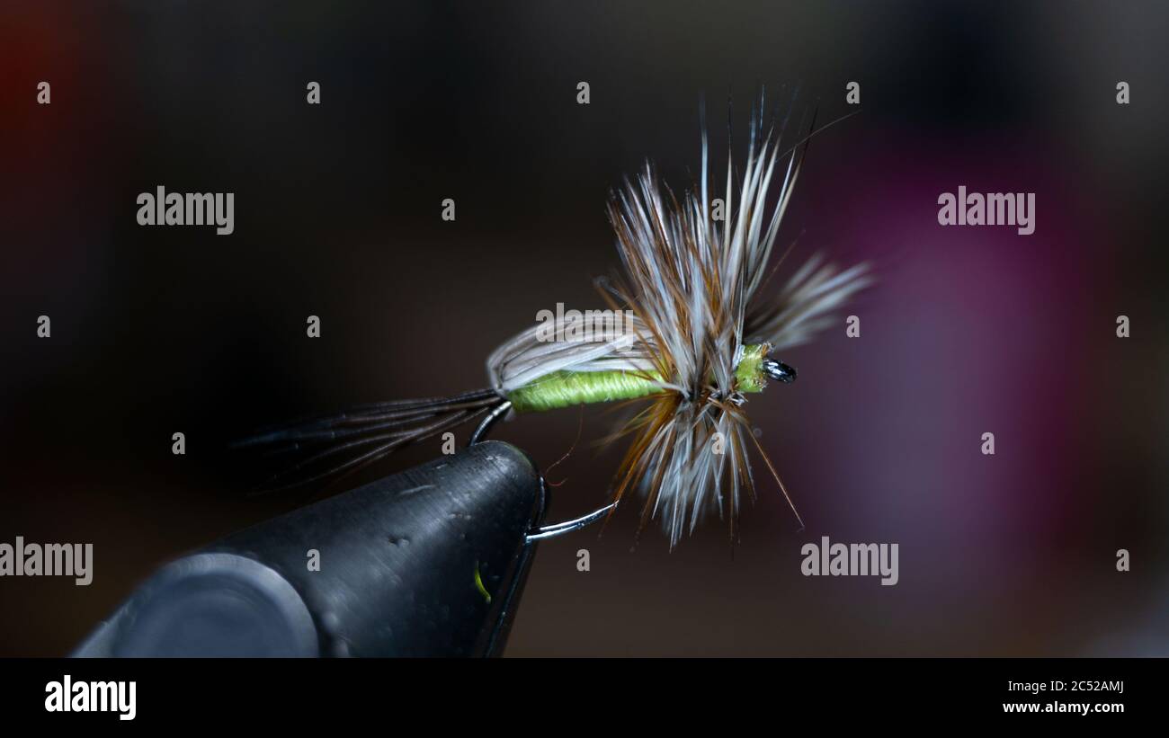 Piccola mosca da pesca immagini e fotografie stock ad alta risoluzione ...