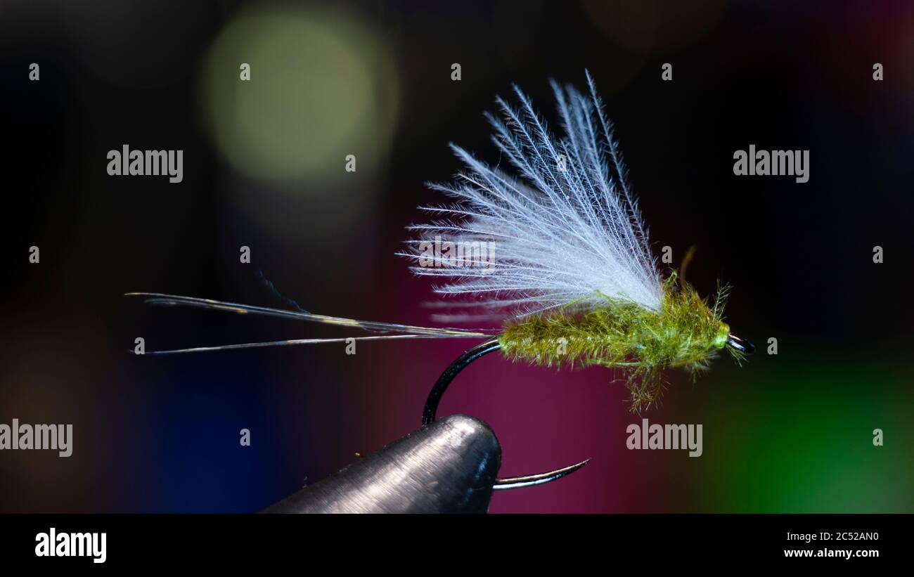 Piccola mosca da pesca immagini e fotografie stock ad alta risoluzione ...