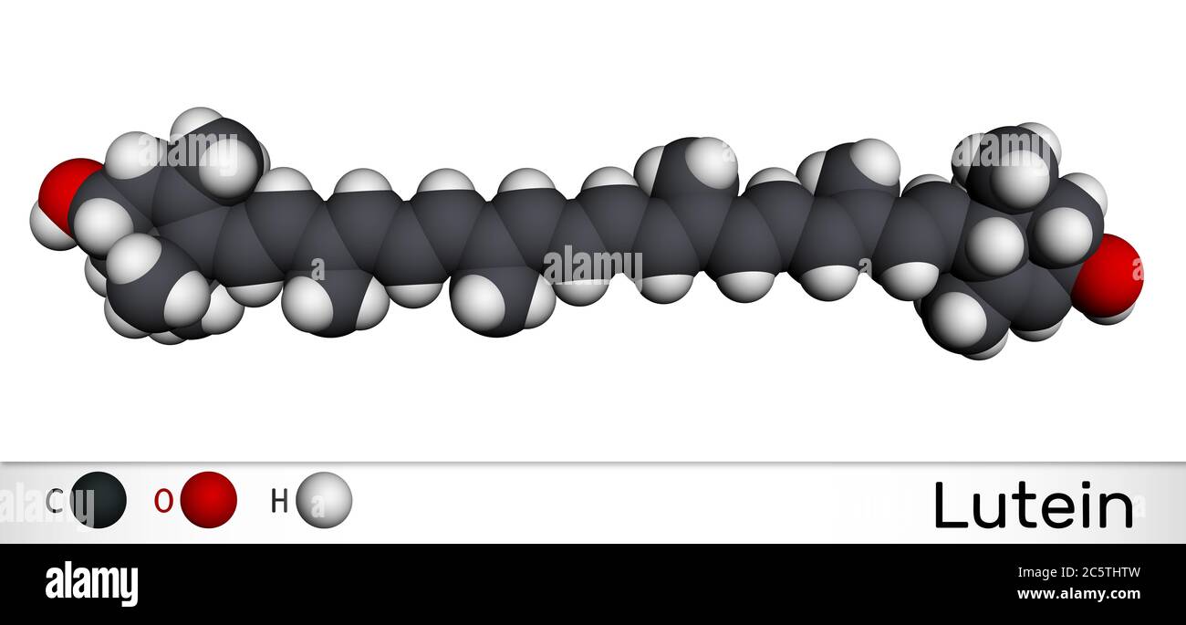 Luteina di pigmento gialla immagini e fotografie stock ad alta ...