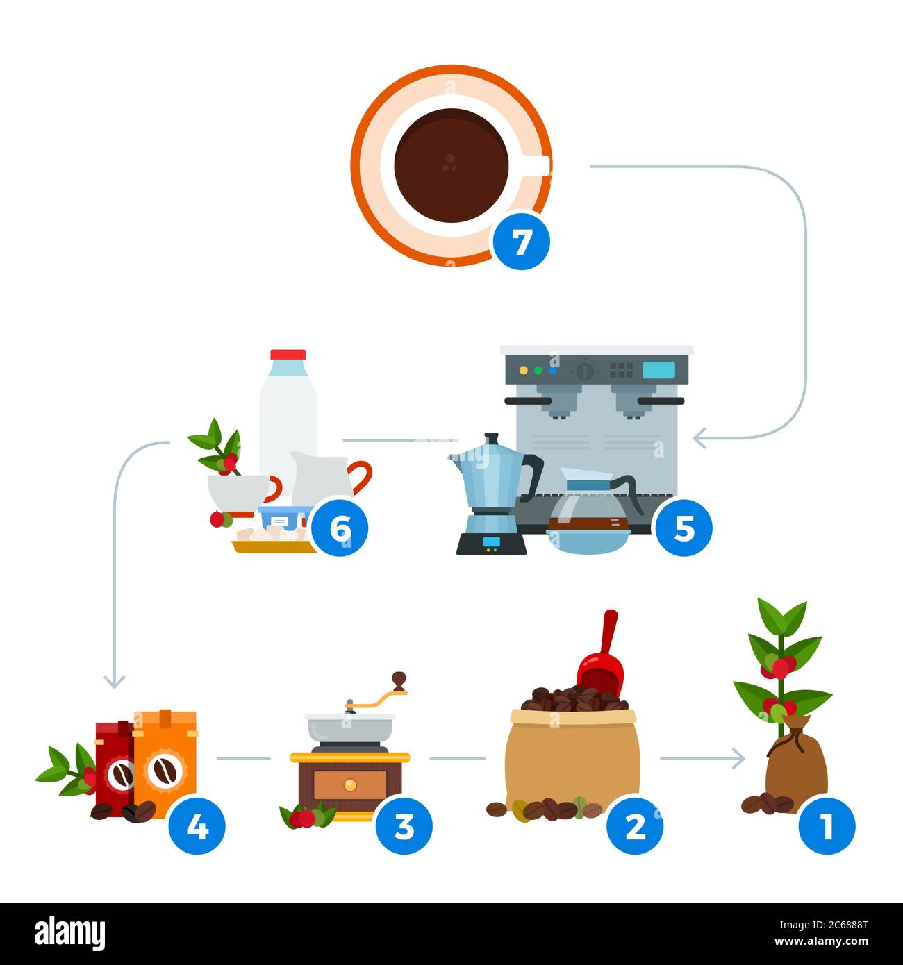 Preparazione del caffè di processo o di ricetta. Illustrazioni piatte ...