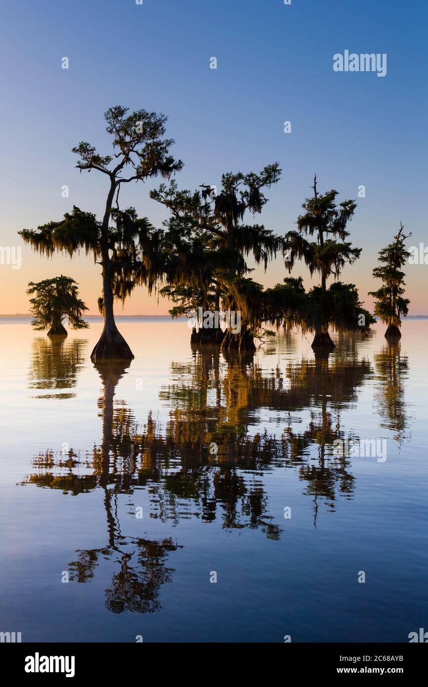 Lago di florida immagini e fotografie stock ad alta risoluzione - Alamy