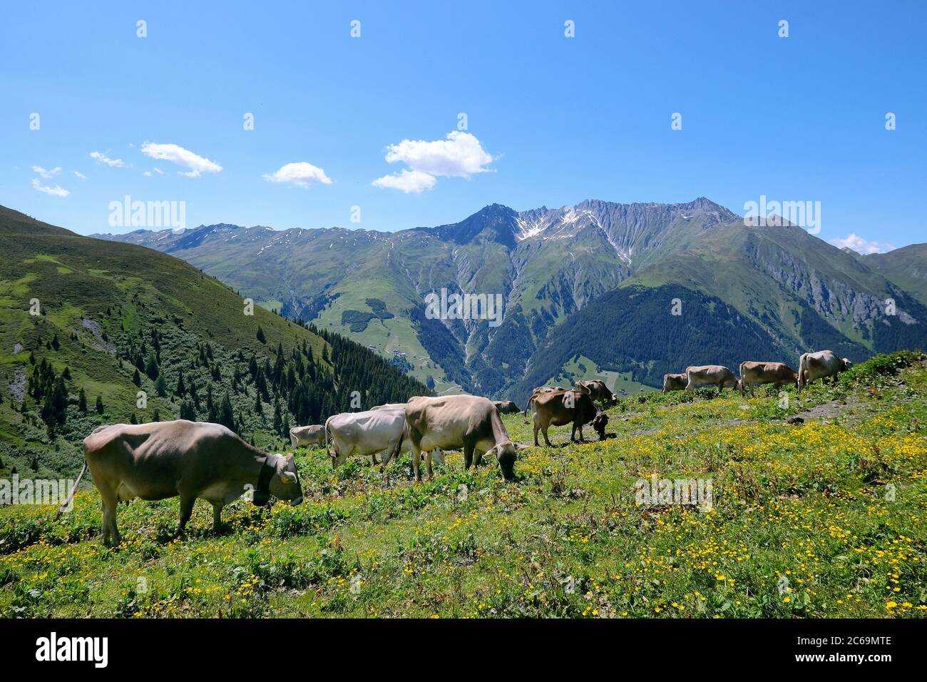 Cantone Dei Grigioni Svizzera Immagini e Fotos Stock - Alamy