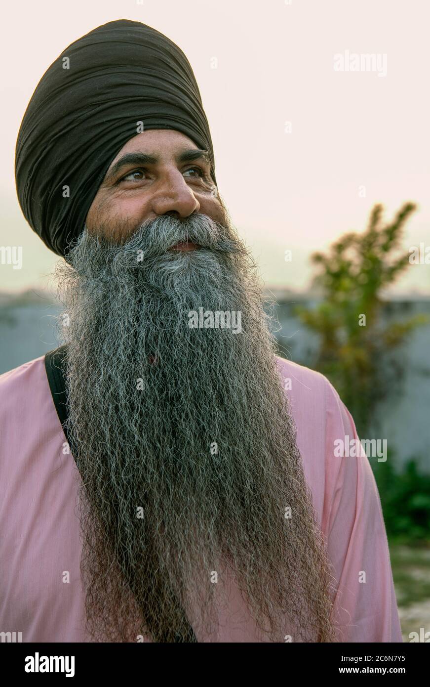 Barba di turbante del ritratto dell'uomo sikh immagini e fotografie ...