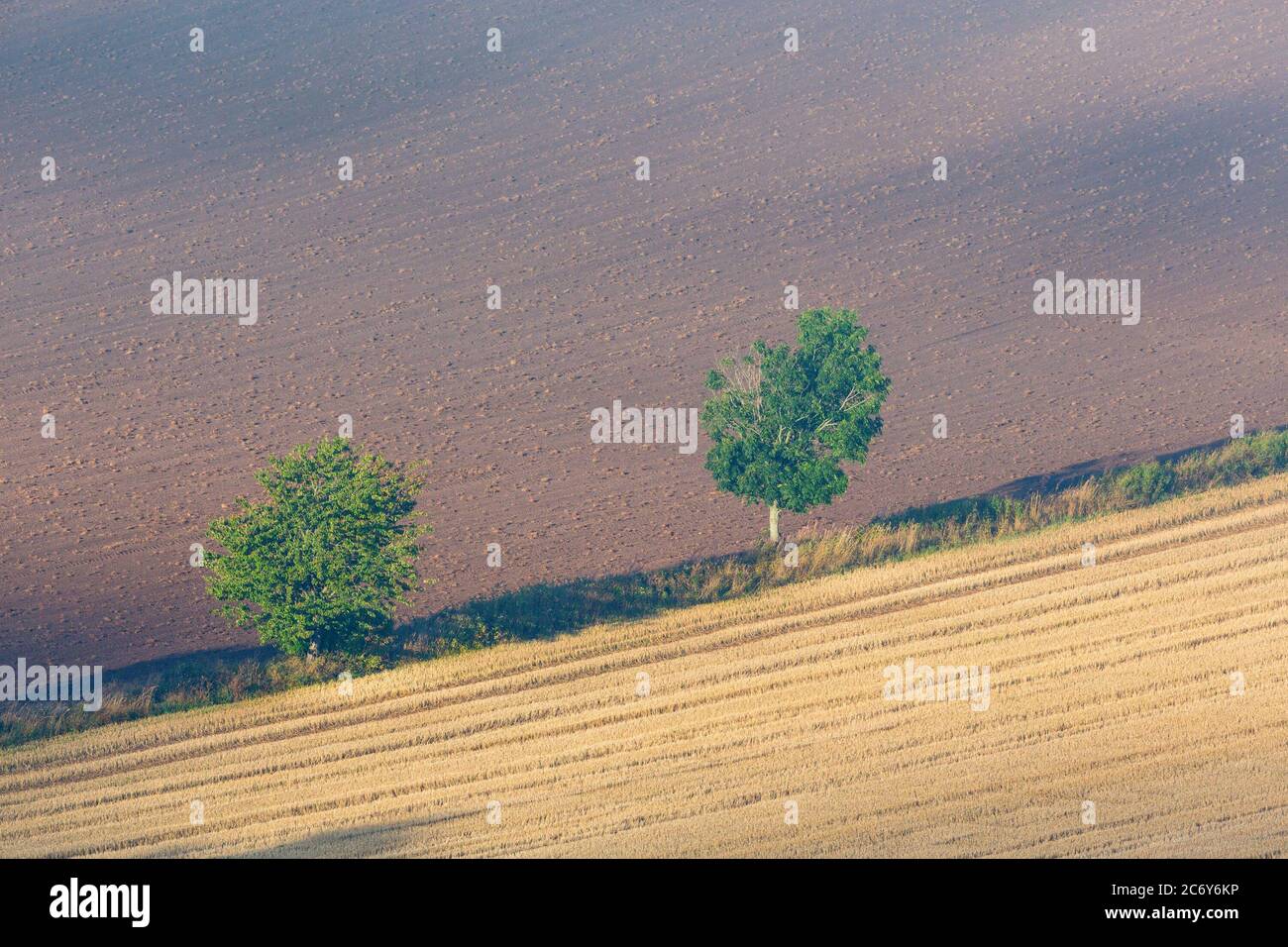 Due viste angolari immagini e fotografie stock ad alta risoluzione - Alamy