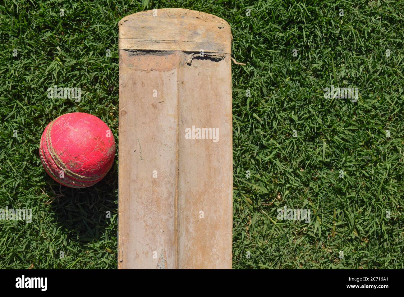 Allenamento di cricket sportivo immagini e fotografie stock ad alta ...