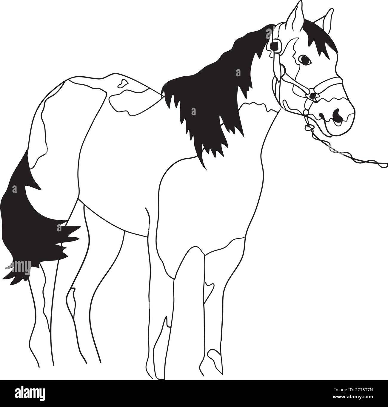 Cavallo bianco con macchie immagini e fotografie stock ad alta ...