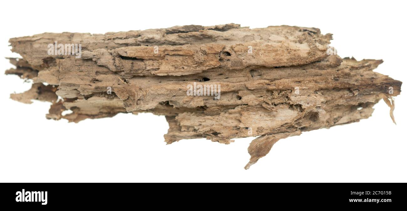 Cartello con fori di proiettile immagini e fotografie stock ad alta ...