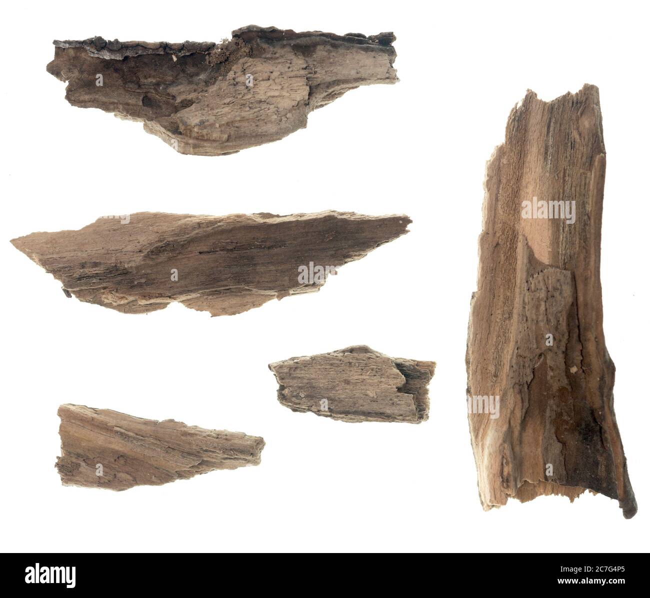 Cartello con fori di proiettile immagini e fotografie stock ad alta ...