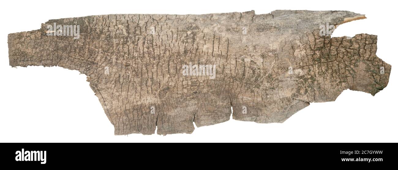 Cartello con fori di proiettile immagini e fotografie stock ad alta ...